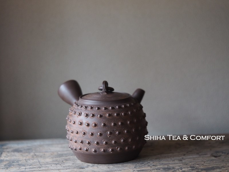 TOJU（Sugie Hirotaka）- One of Greatest Teapot Artist of Japan 陶寿鋲打仿鉄茶壺 ...